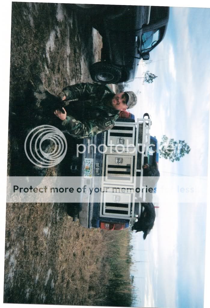 different types of hogs | GON Forum